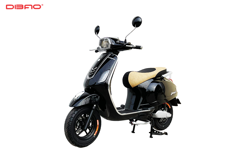 XE MÁY ĐIỆN DIBAO PANSY S4