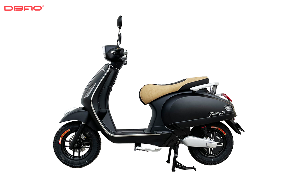 XE MÁY ĐIỆN DIBAO PANSY S4