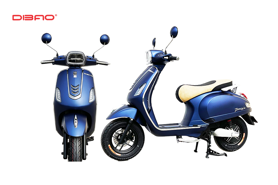 XE MÁY ĐIỆN DIBAO PANSY S4