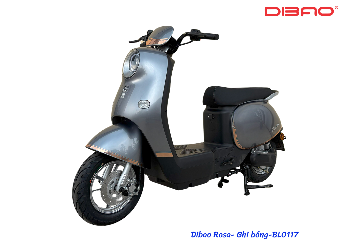 Xe máy điện Dibao Rosa
