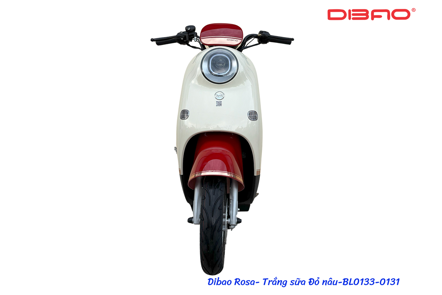 Xe máy điện Dibao Rosa