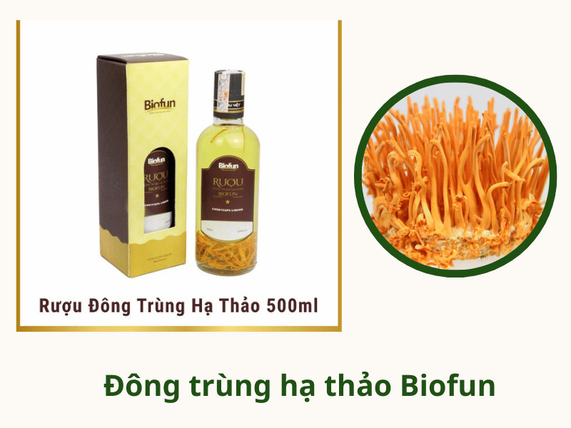 Top 5+ địa chỉ mua rượu đông trùng hạ thảo chất lượng mẫu mã đẹp | Thực ...