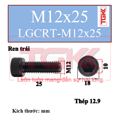 Bu lông lục giác chìm ren trái-M12x25 Siêu thị ốc vít