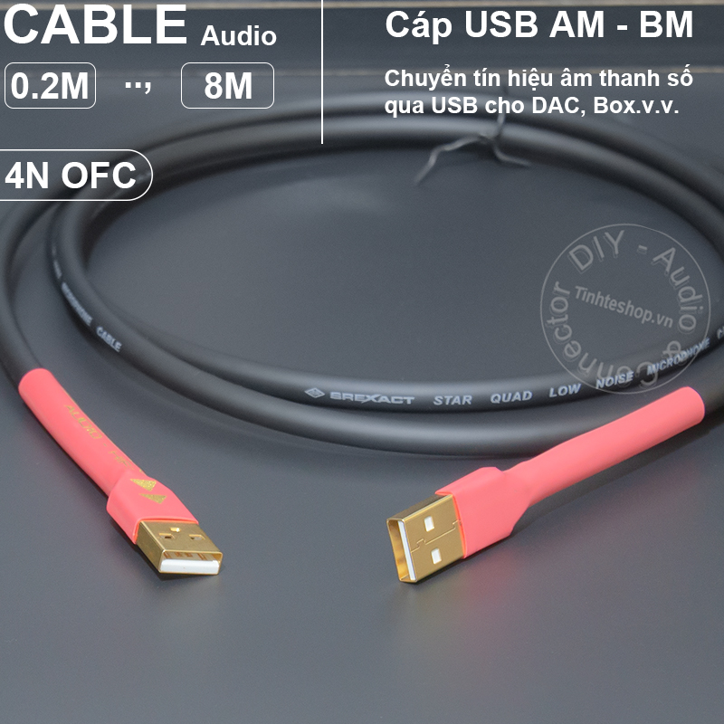 Dây USB DAC DIY - USB cable AM - BM for digital audio codec | Tinh Tế Shop