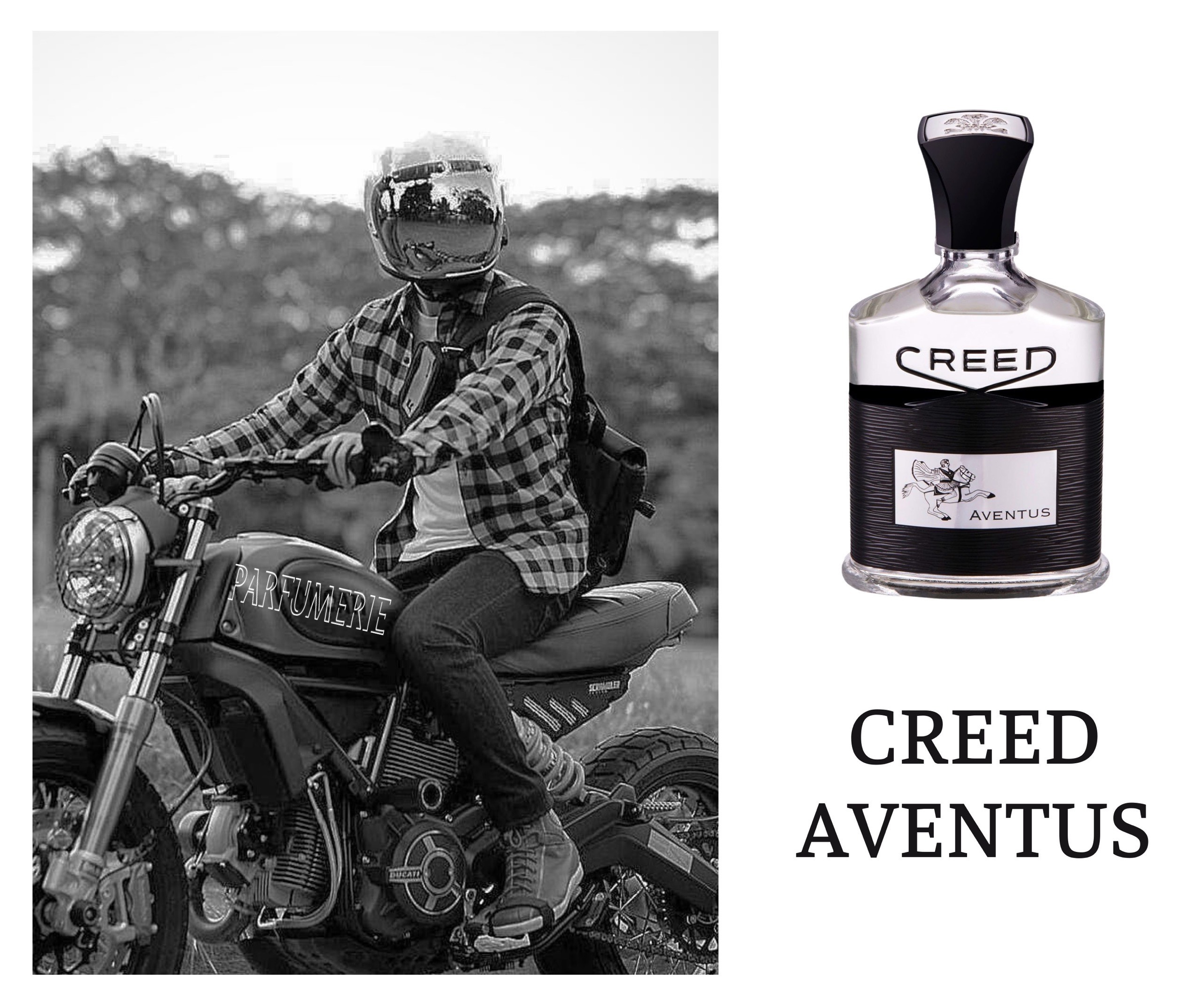 CREED AVENTUS - MỘT "PHƯỢT THỦ" ĐẦY LẠNH LÙNG VỚI TRÁI TIM ẤM NÓNG BÊN ...