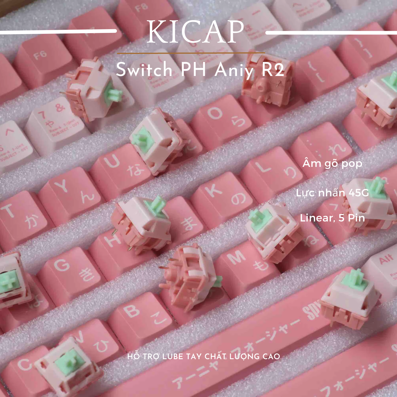 Switch PH Aniy R2 - Linear poppy sound | Kicap