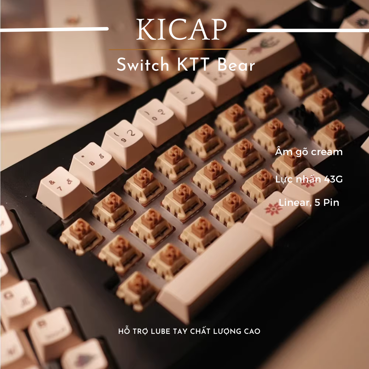 Switch KTT Bear - Linear - âm creamy | Kicap