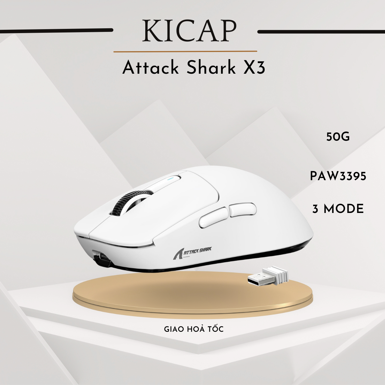 Chuột Không Dây Attack Shark X3 | Kicap