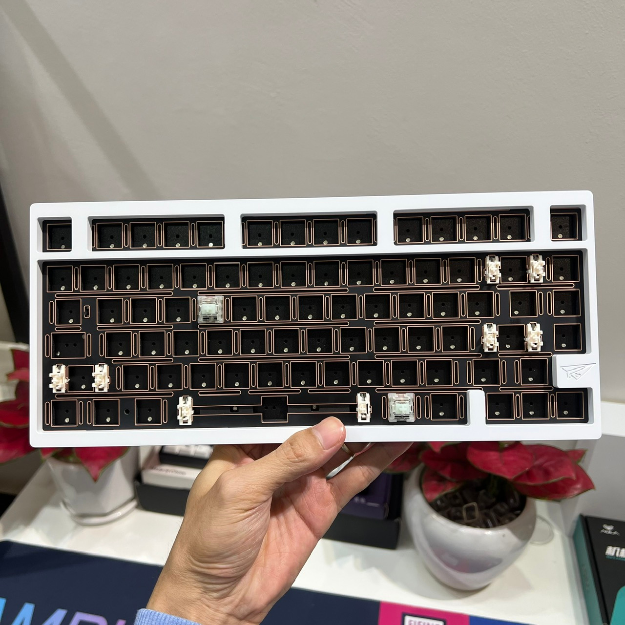 Bàn phím cơ Weikav D75 - Only KIT | Kicap