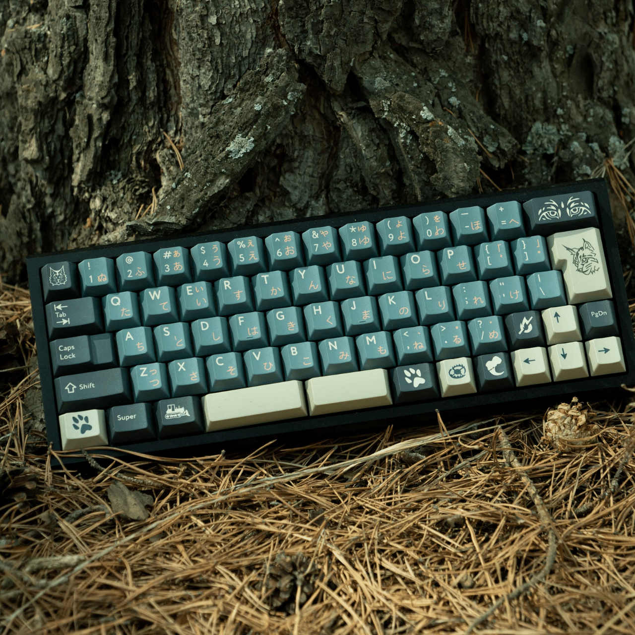Bộ keycap Silent Forest | Kicap