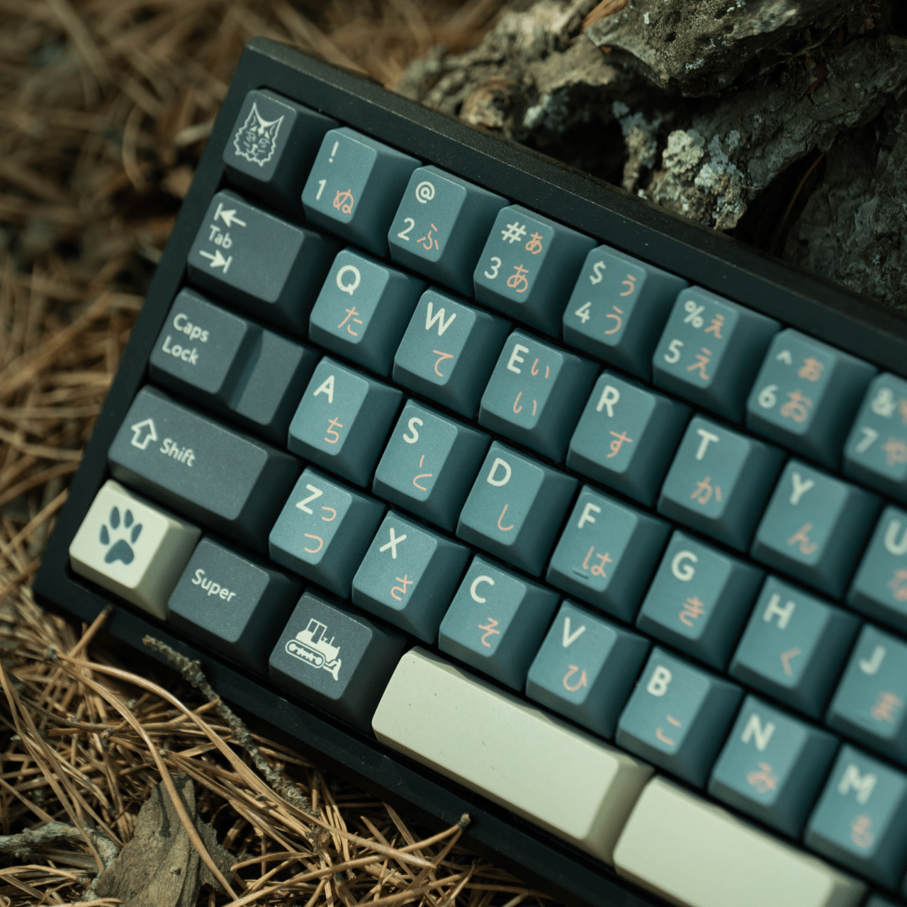 Bộ keycap Silent Forest | Kicap