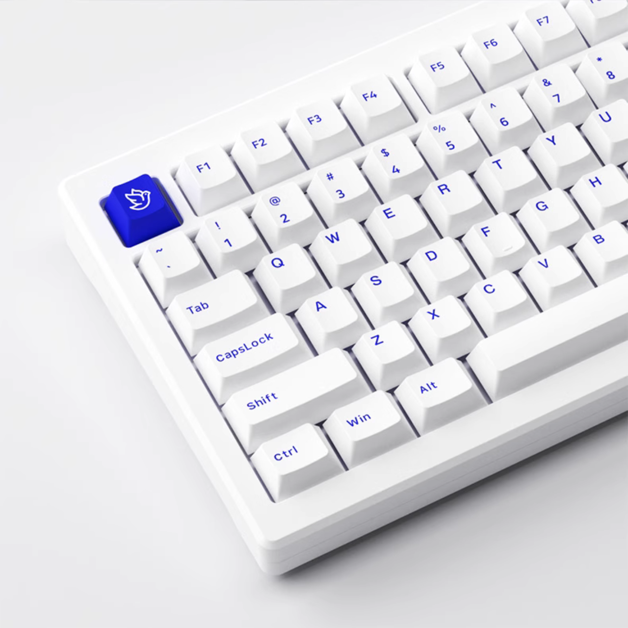 Bàn phím cơ AKKO MOD007PC | Kicap