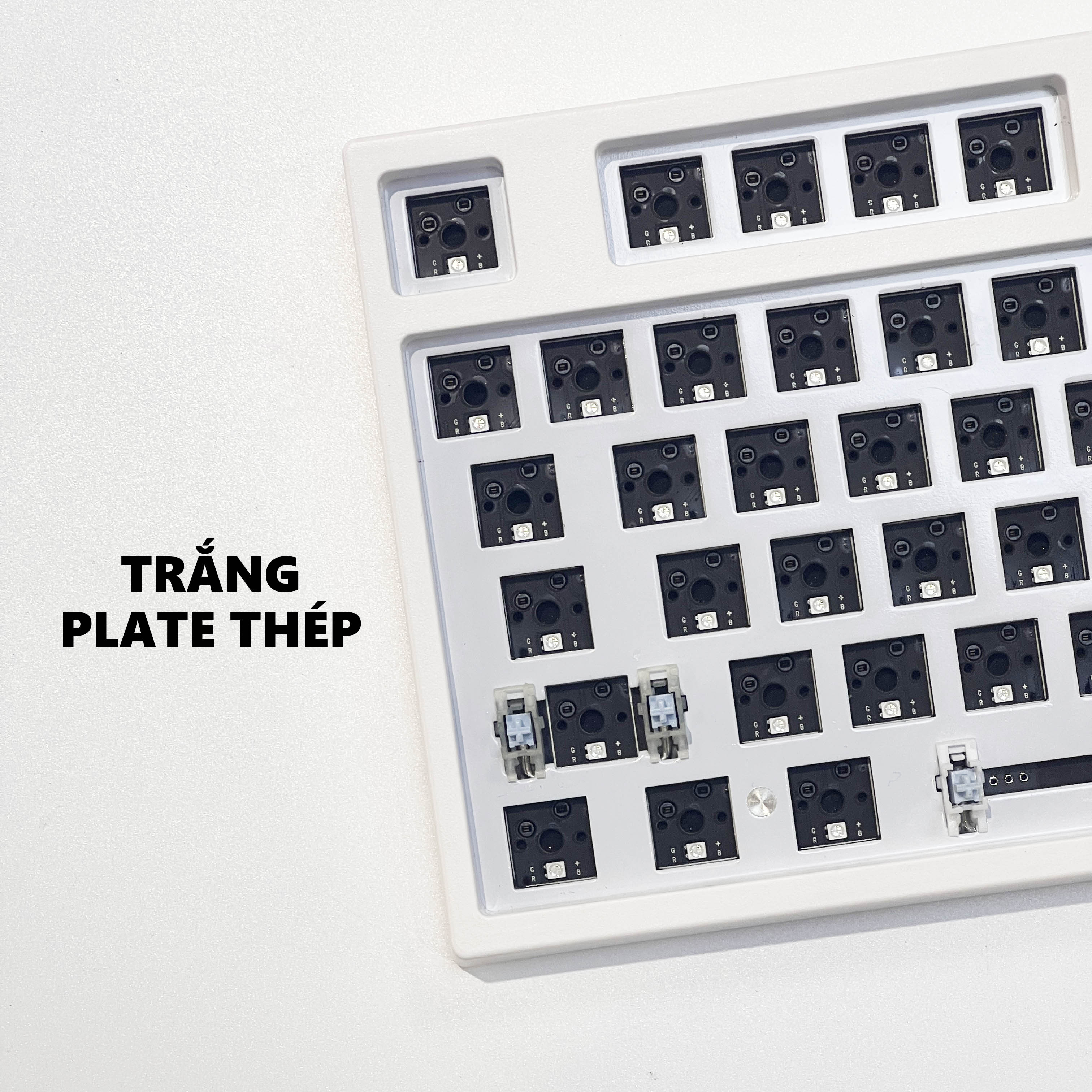 Bộ KIT tuỳ chỉnh Keydous NJ81 | Kicap