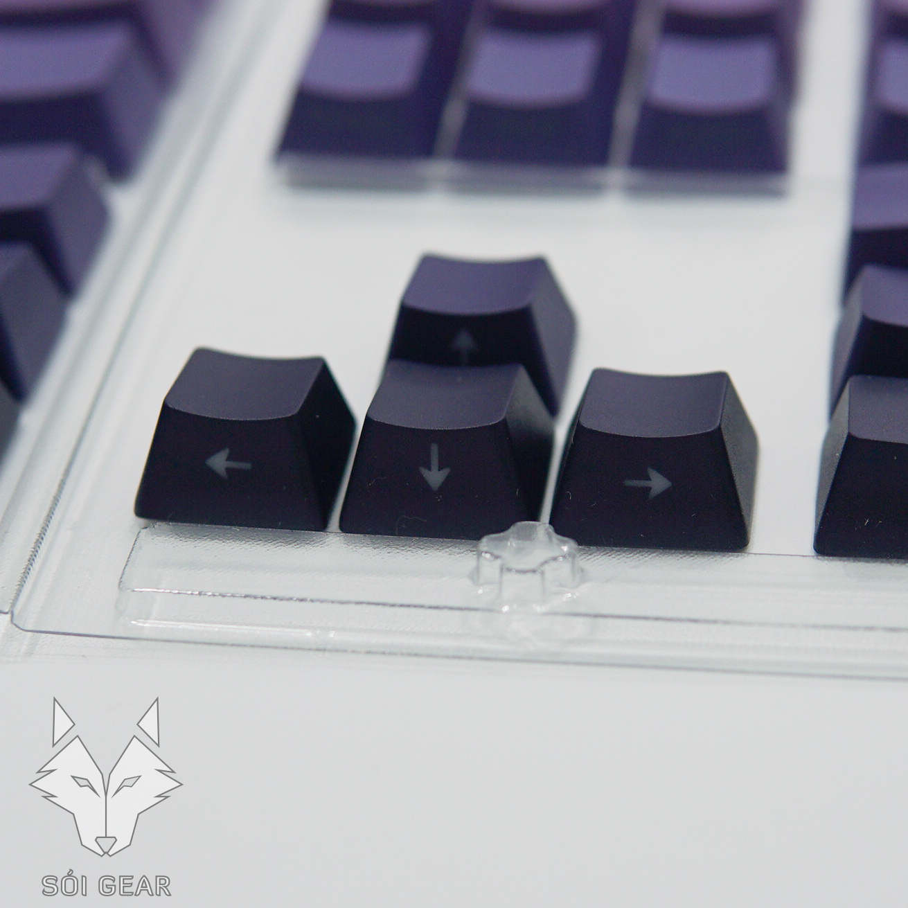 [In-stock] Keycap OEM PBT Ninja Gradient Xuyên led - Tím Đậm