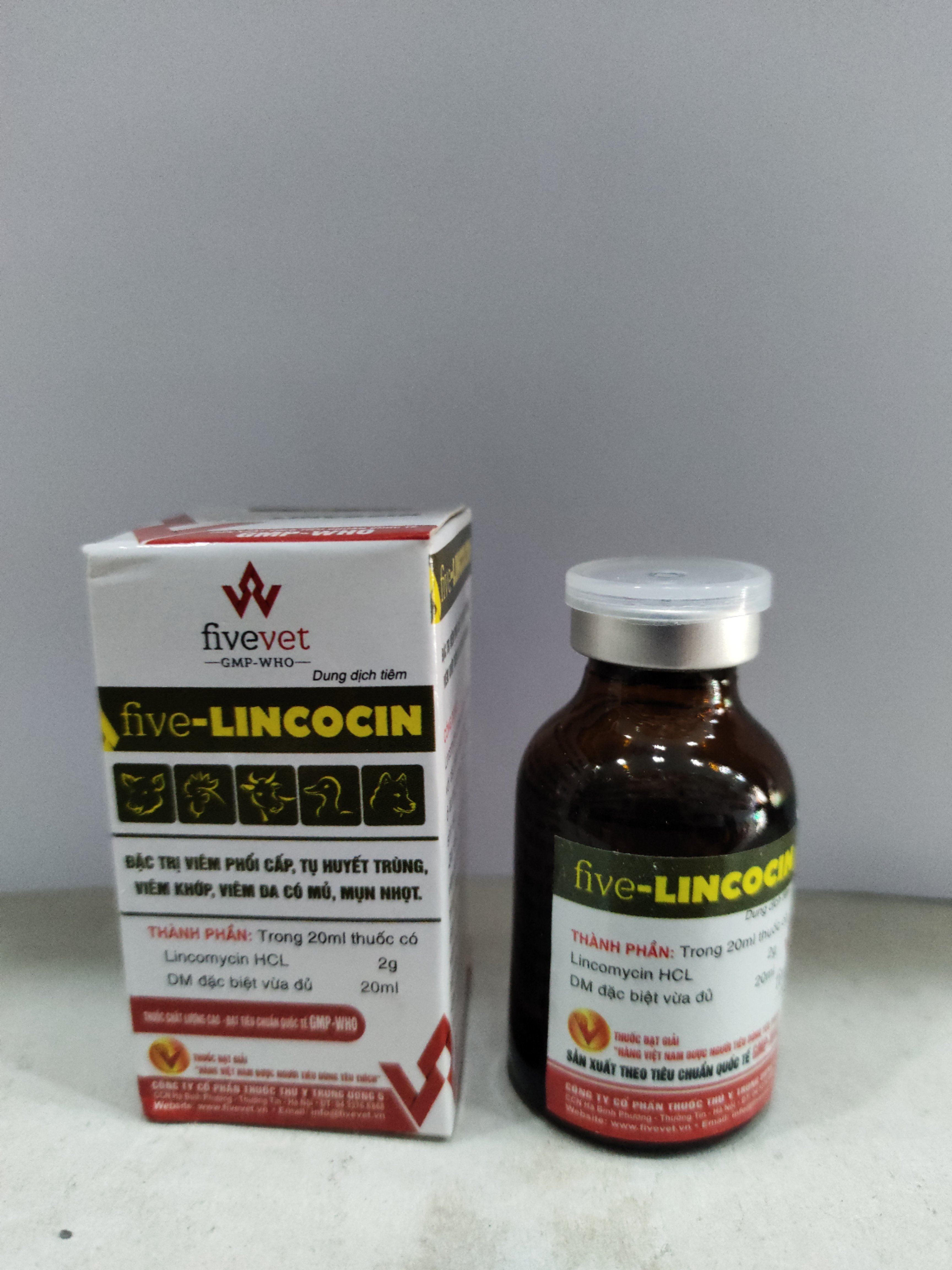 Five LINCOCIN 20ML Đặc trị viêm phổi cấp, tụ huyết trùng, viêm khớp ...