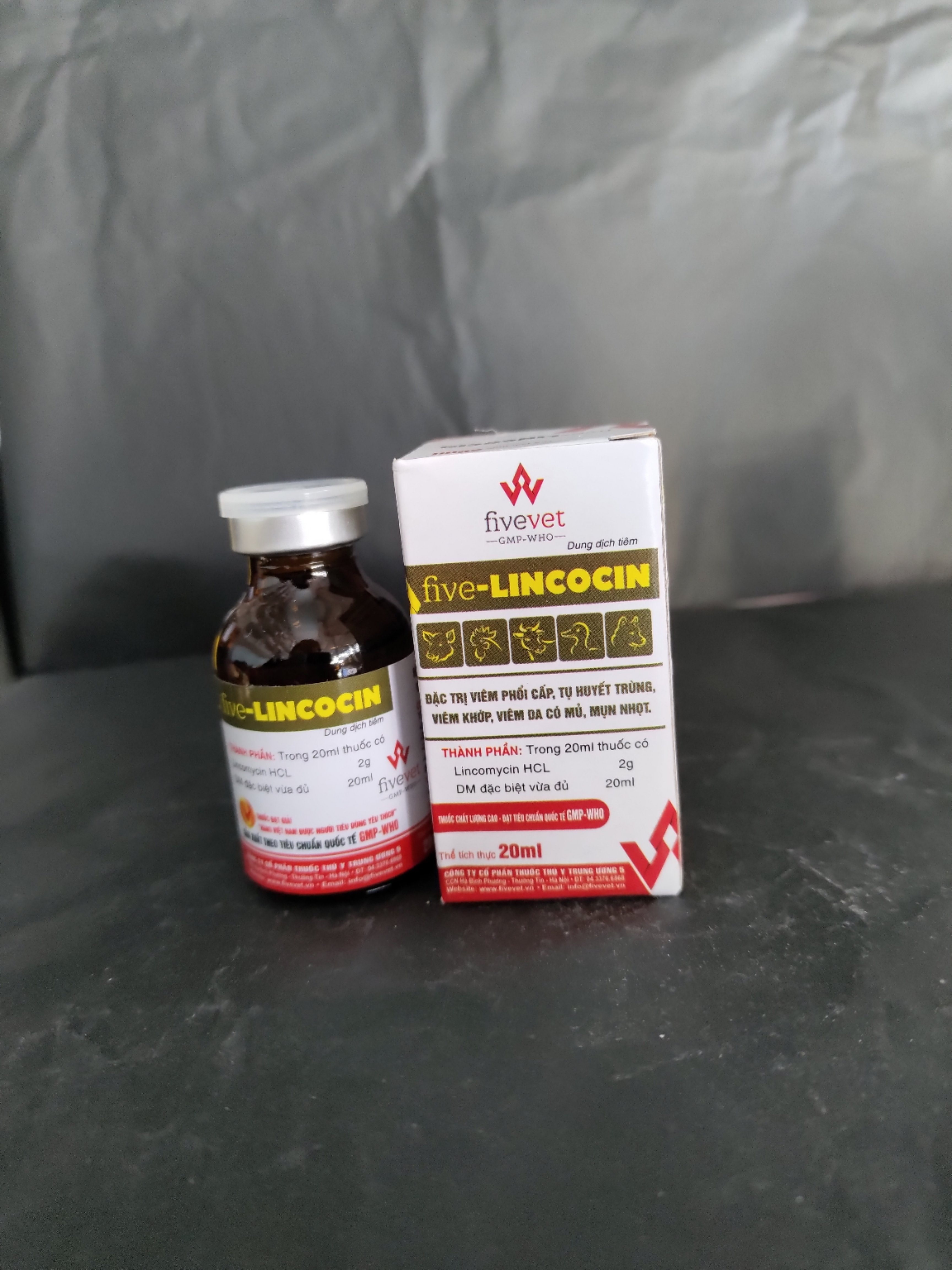 Five LINCOCIN 20ML Đặc trị viêm phổi cấp, tụ huyết trùng, viêm khớp ...