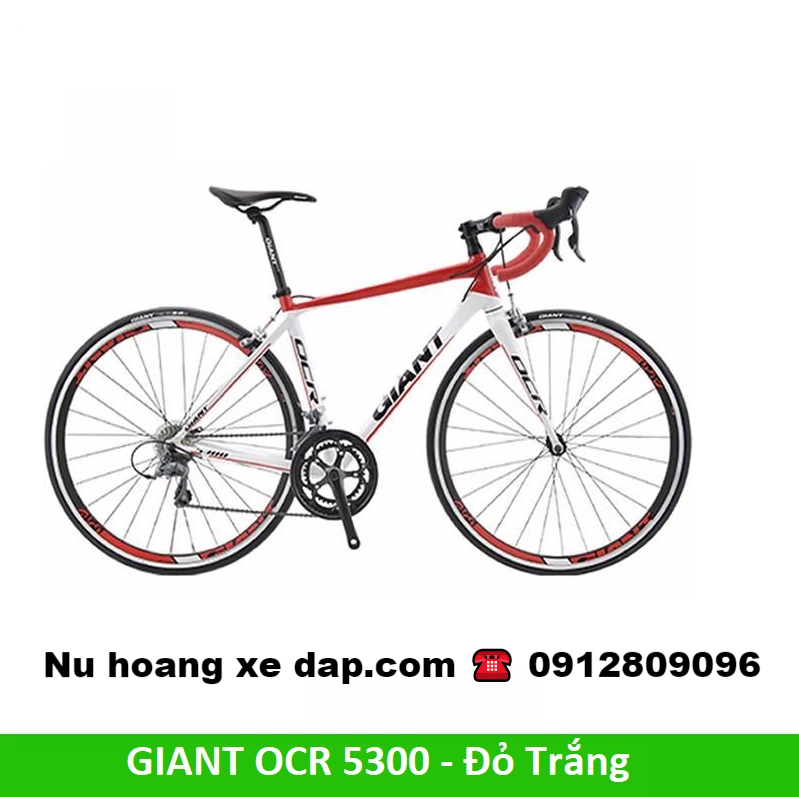 Xe đạp đua GIANT OCR 5300 | Xe Đạp Loan Tú
