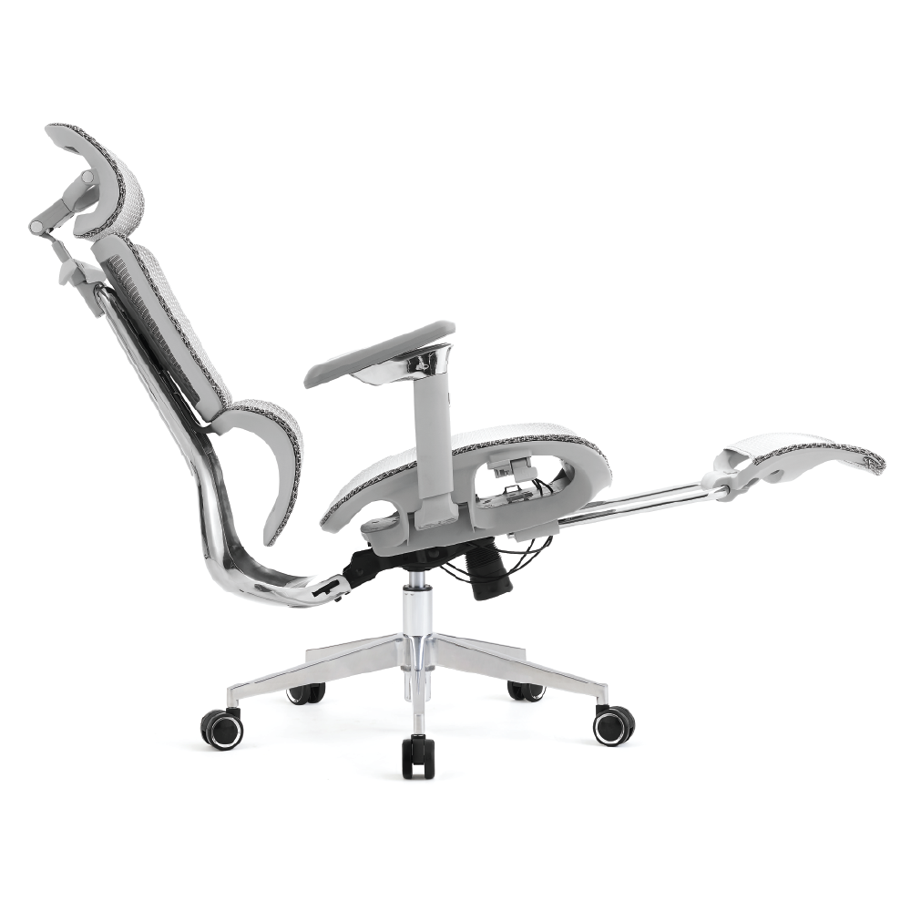 Ghế Công Thái Học Upgen Nexus (Tựa lưng Ergozone 3 vùng độc lập) | Ergohome - Ghế công thái học ...