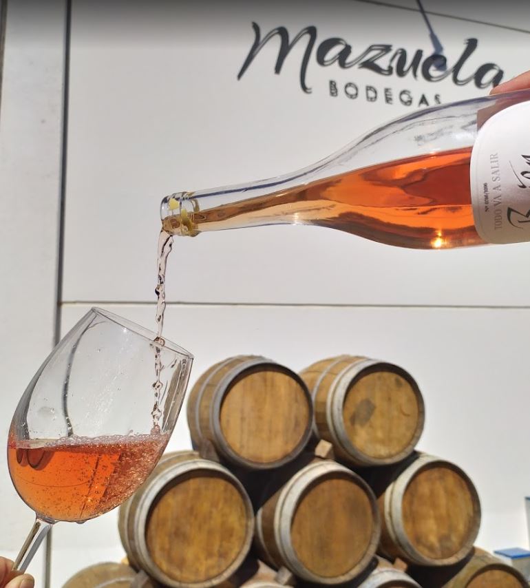 Vine Mazuelo | Wine1855 Hàng Chính Hãng Chính Ngạch