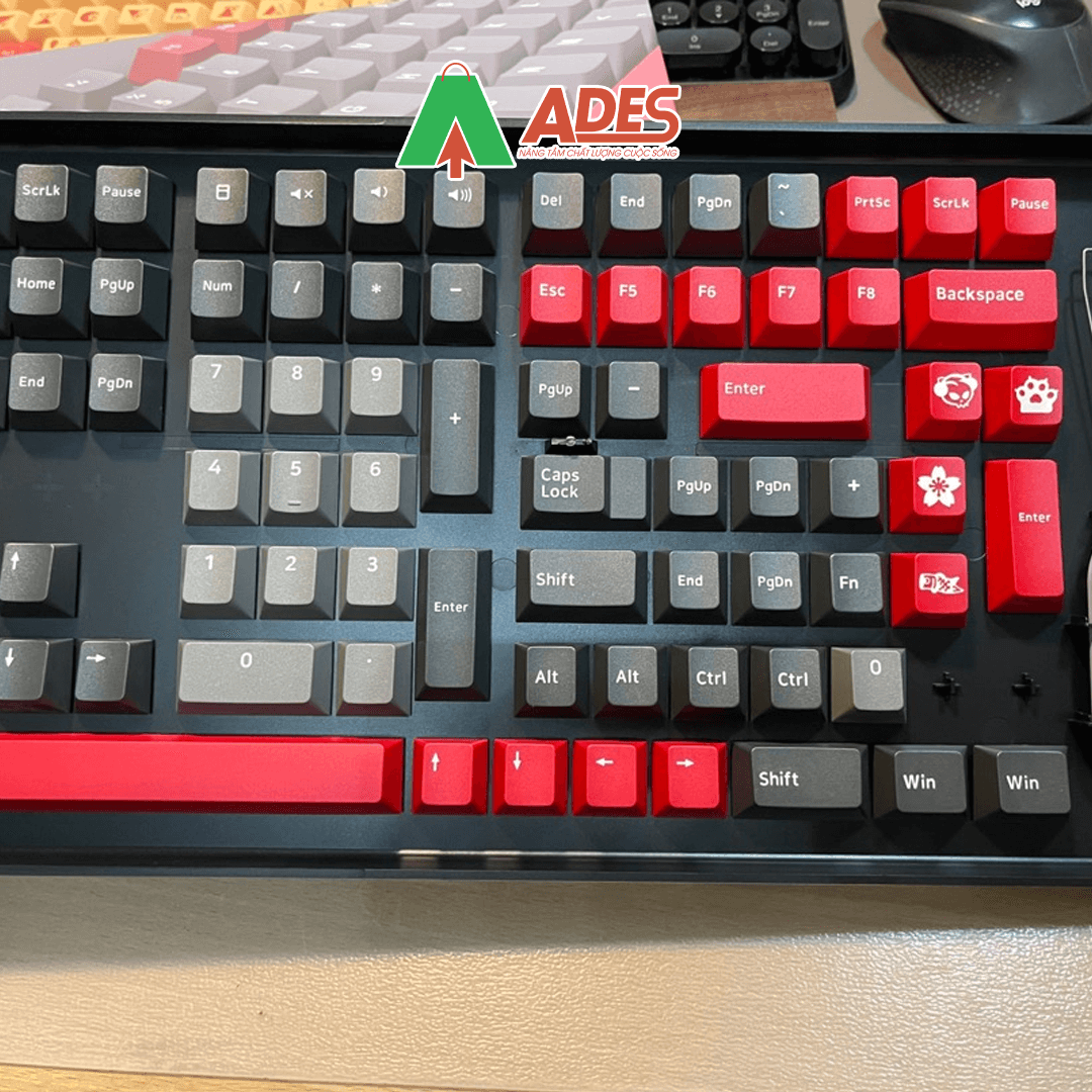 AKKO Keycap set – Psittacus (PBT Double-Shot/Cherry profile/157 nút ...