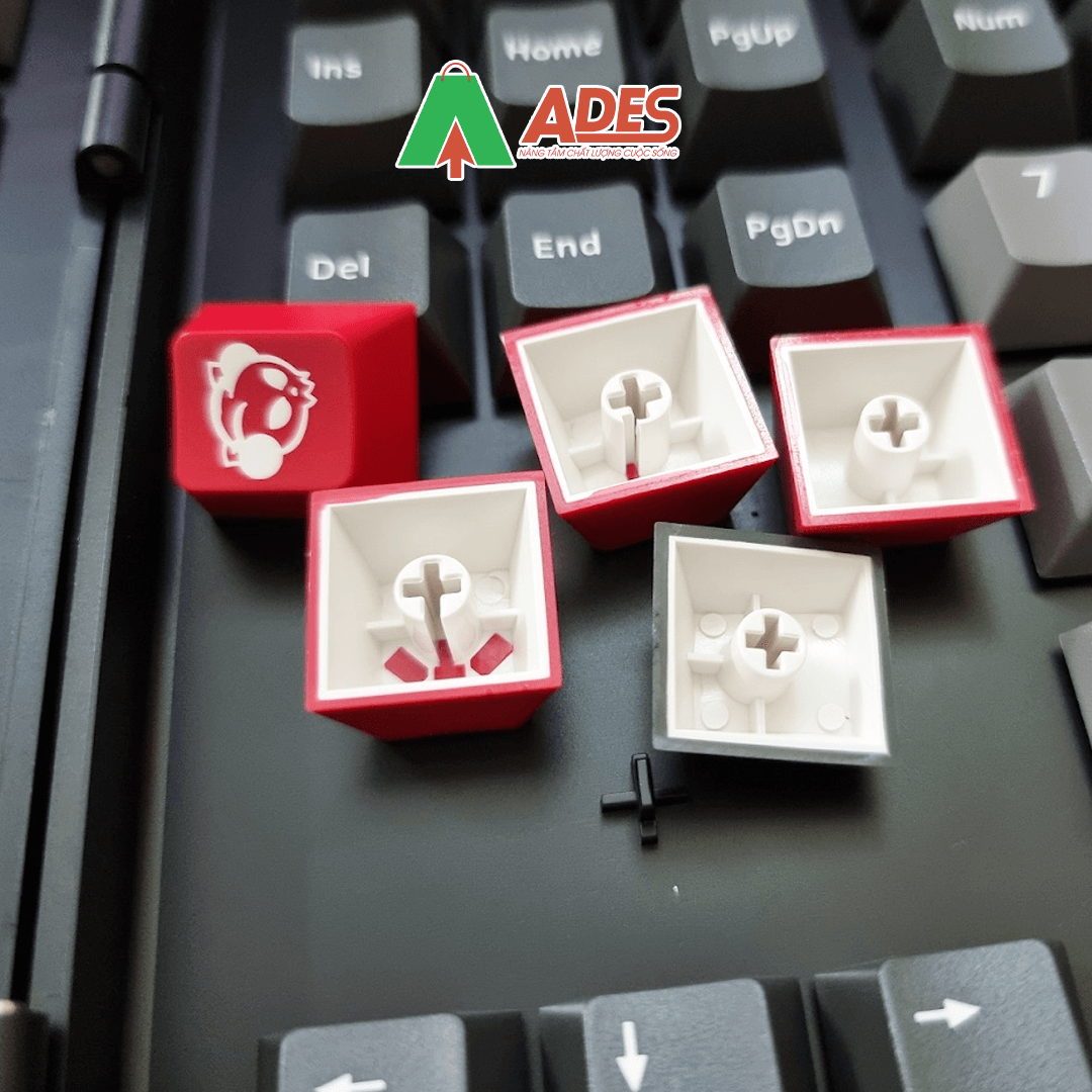 AKKO Keycap set – Psittacus (PBT Double-Shot/Cherry profile/157 nút ...