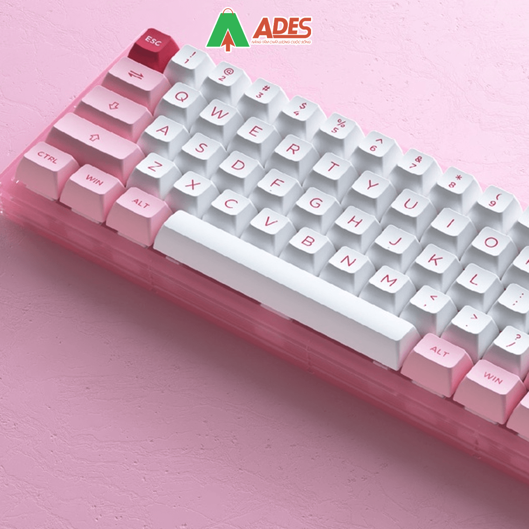 Bàn phím cơ AKKO ACR 61 Pink | Công ty cổ phẩn TMDV & SX Ades