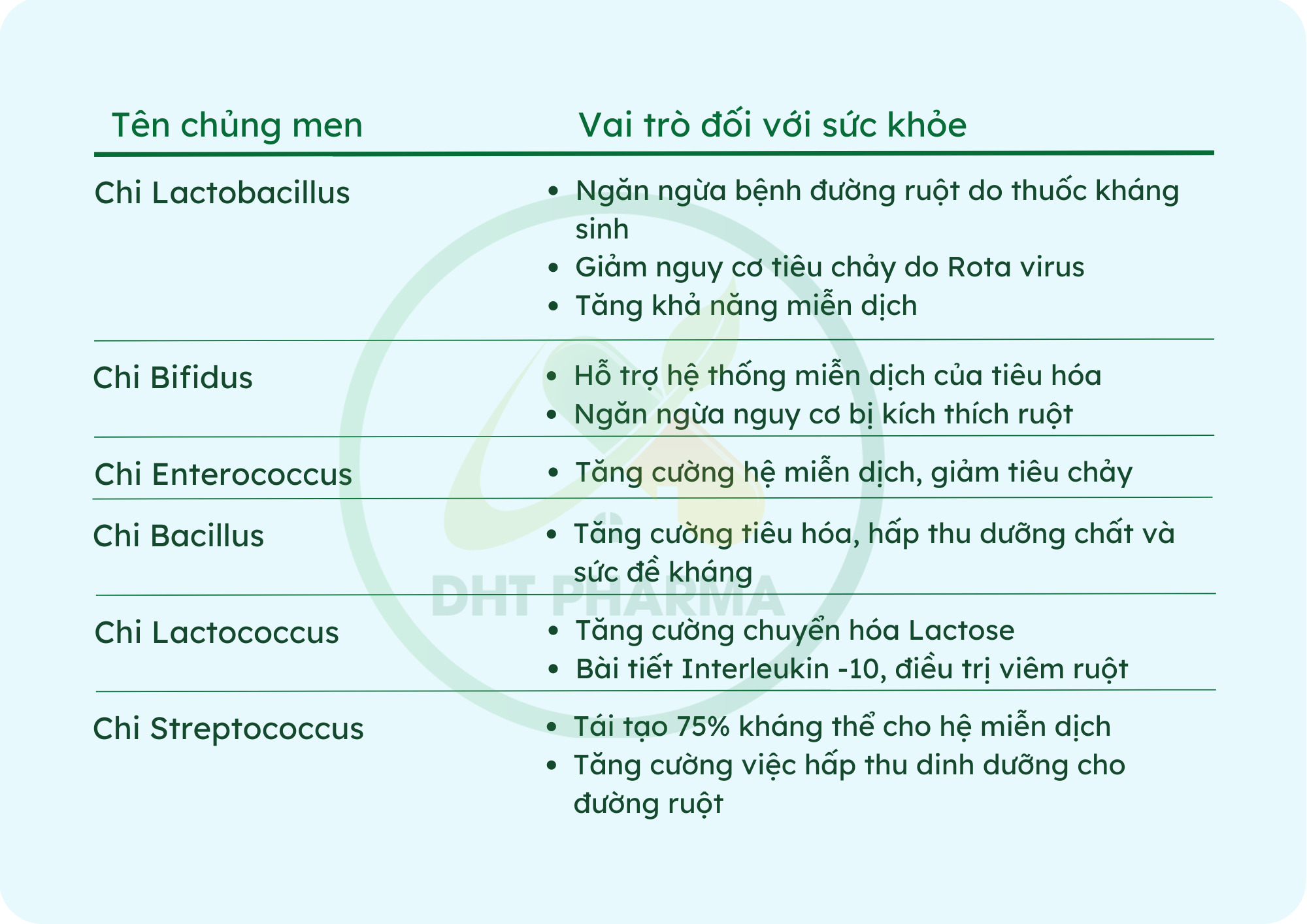 Men vi sinh Bioxgut 19 chủng Hàn Quốc bổ sung lợi khuẩn, hỗ trợ tăng ...