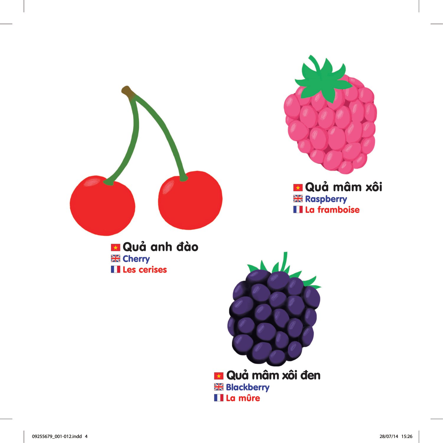Sách Chuyển Động Thông Minh Đa Ngữ Việt - Anh - Pháp - Các Loại Hoa Quả ...