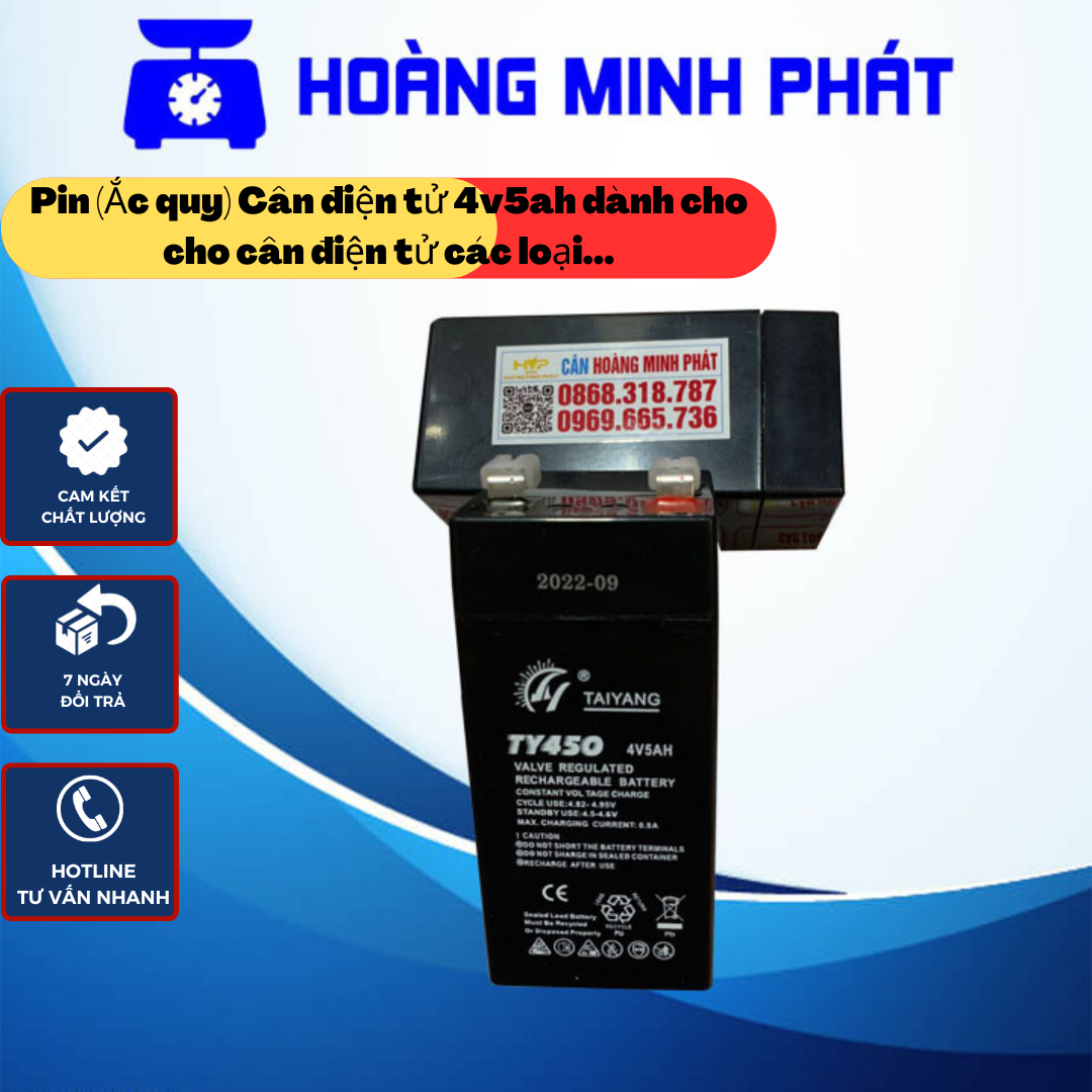 Pin (Ắc Quy) Cân Điện Tử 4V/5AH, Bình Ắc quy khô (cân điện tử, loa kéo ...