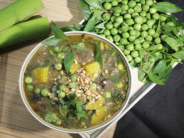 Hạt Giống Cà Đắng Tây Nguyên