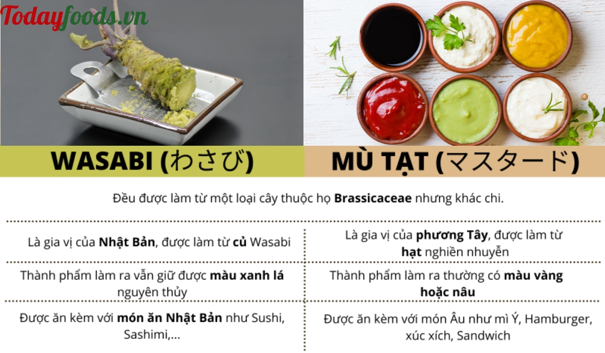 Wasabi là gì? Wasabi có phải mù tạt không?