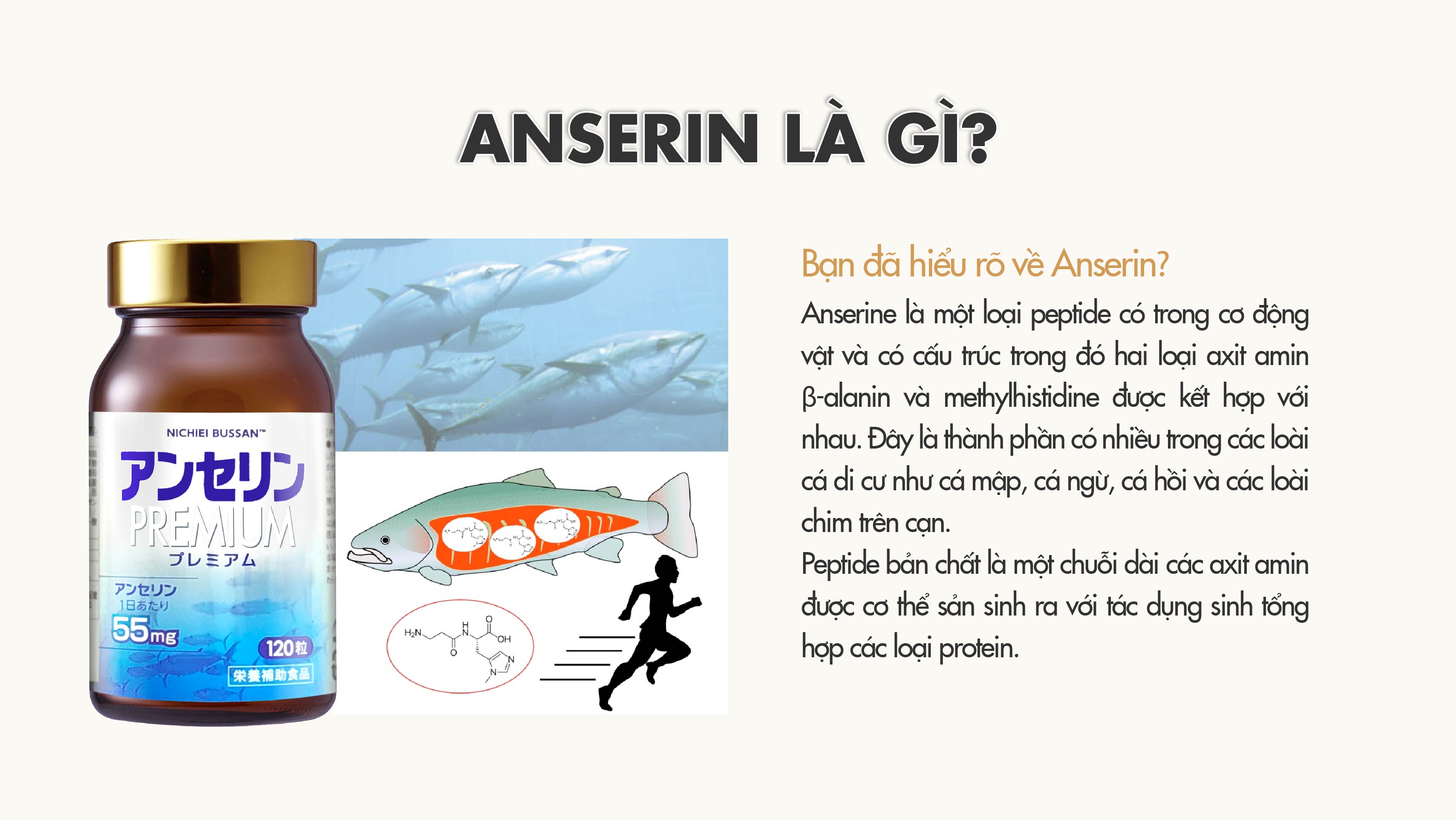 Anserine Premium 120 Viên - Hỗ trợ điều trị gout - Thực phẩm chức năng ...