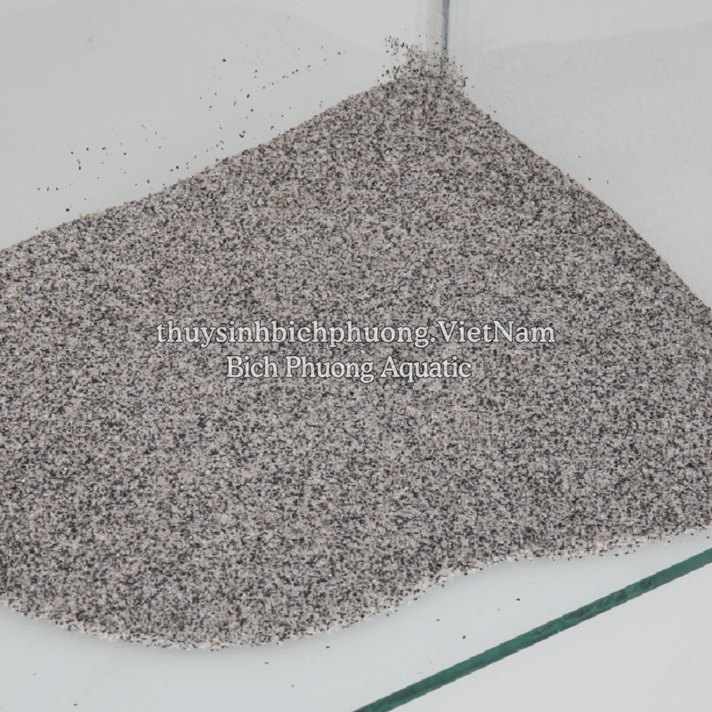 JBL SANSIBAR GREY - CÁT XÁM CAO CẤP | THUỶ SINH BÍCH PHƯƠNG