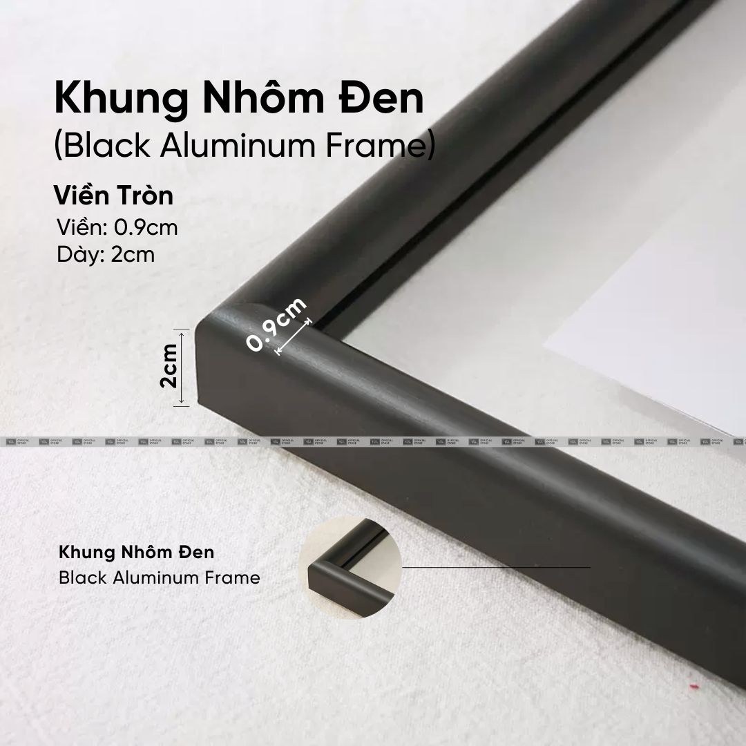 (Moebe Frame)Khung Tranh Hợp Kim Nhôm Trong Suốt 2 Mặt Để Bàn | Qaha ...