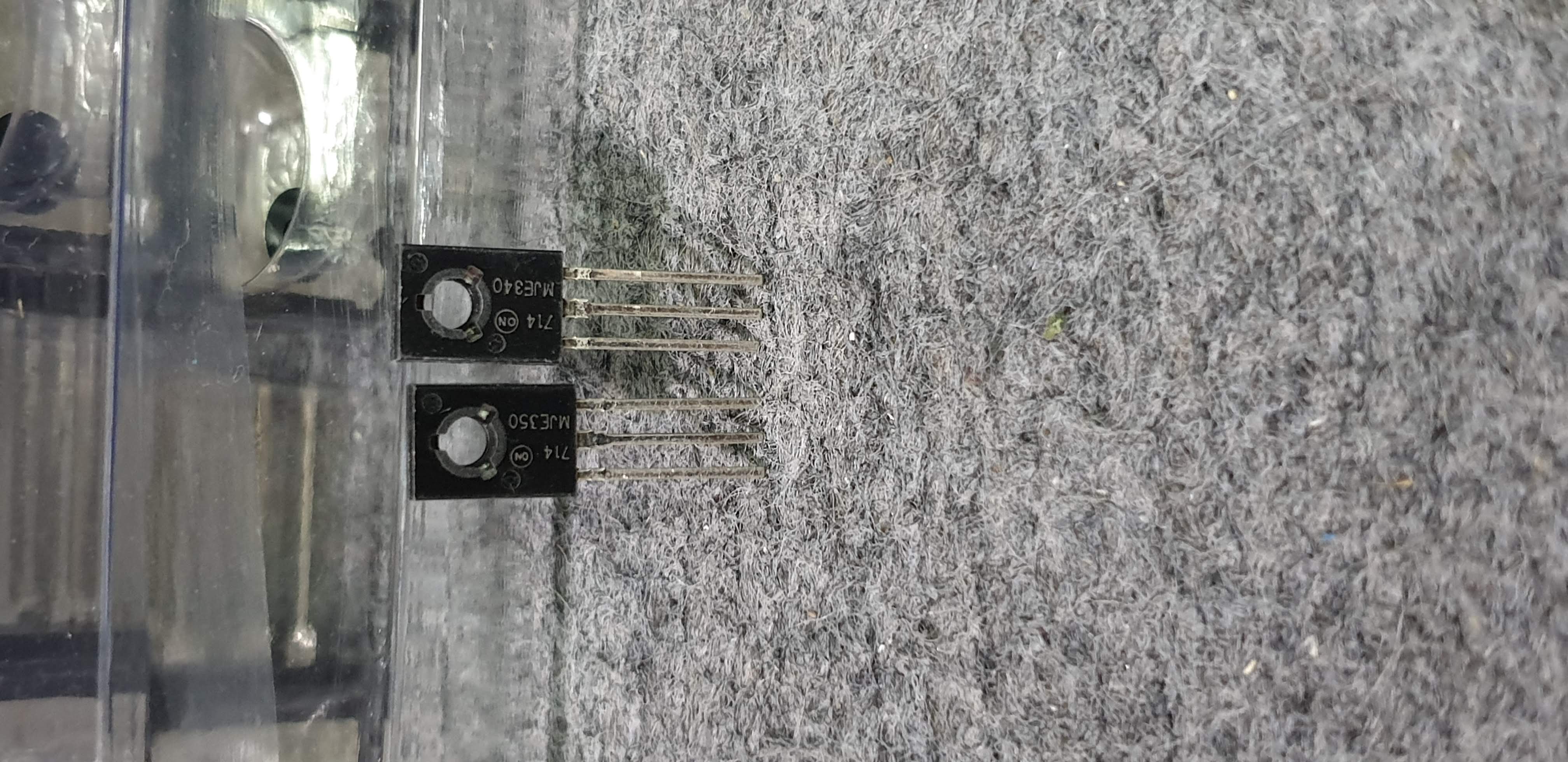 Sò đệm/Sò thúc