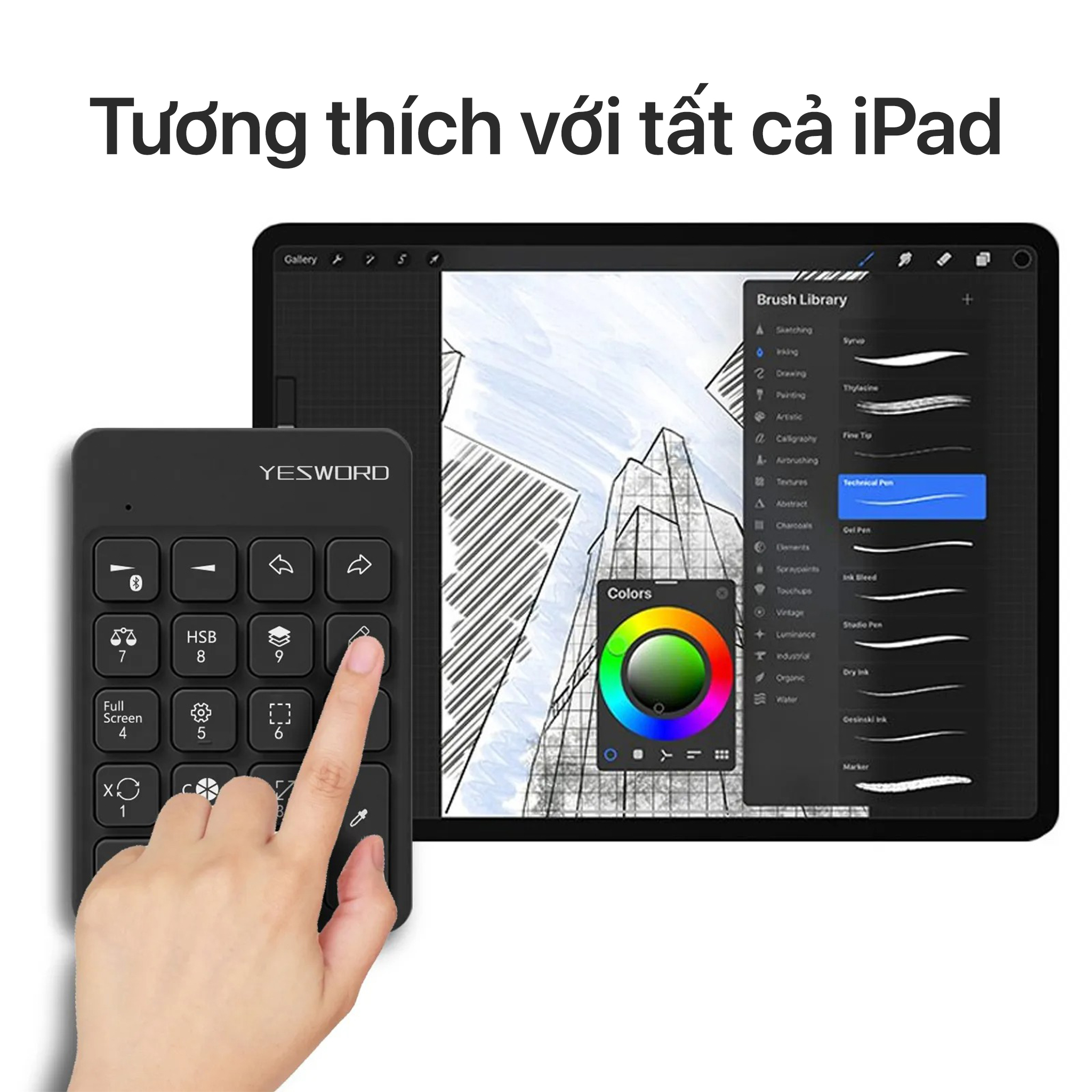 Cách Vẽ Hình Tròn Trong Procreate Và Các Lời Khuyên Hữu ích