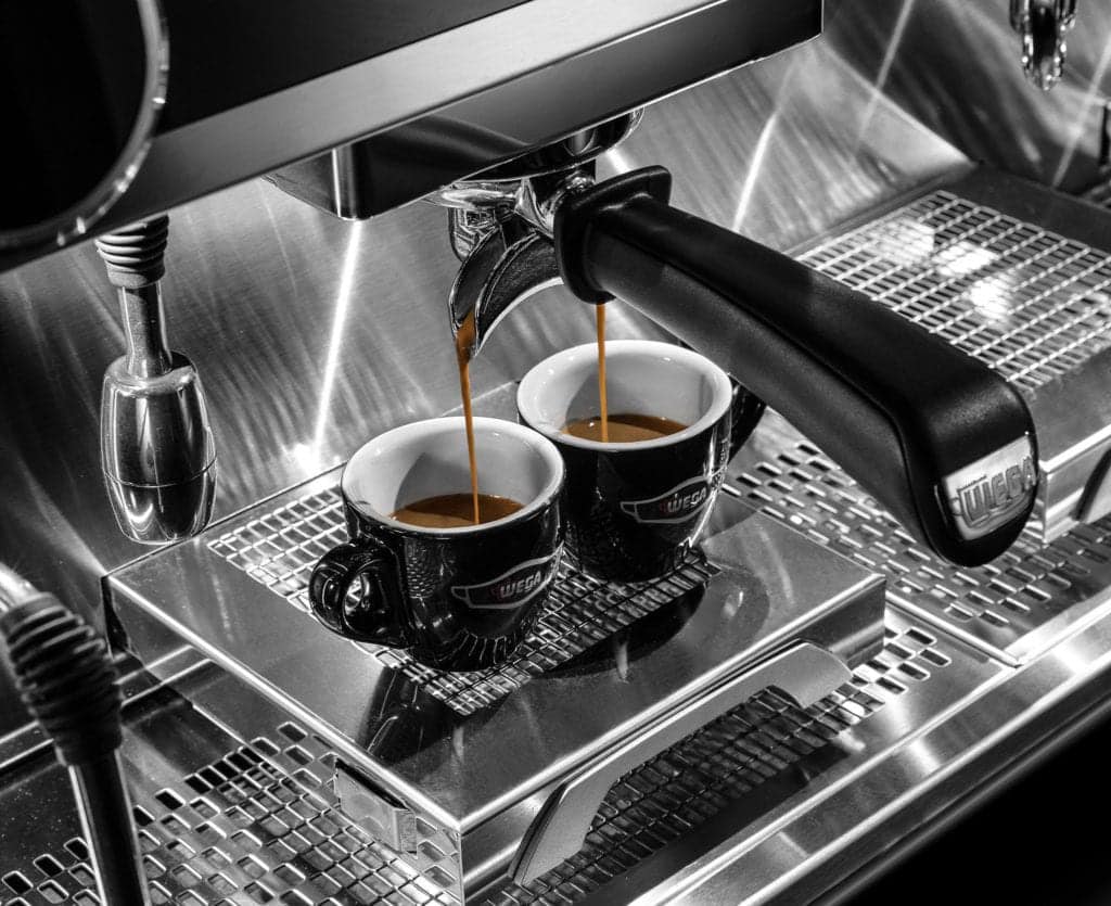 MÁY PHA CÀ PHÊ WEGA PEGASO 1 GROUP - Mạnh mẽ, ổn định và an toàn. | Fin ...