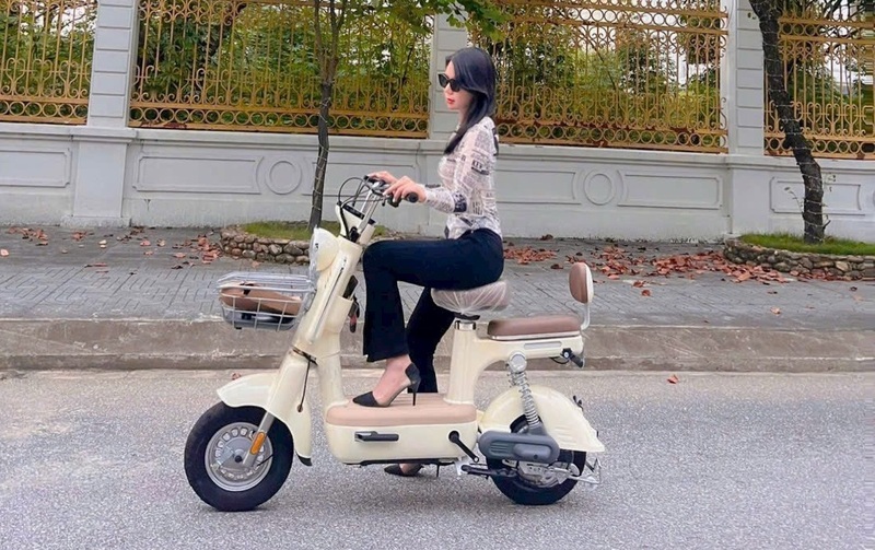 Xe Đạp Điện Mini Nhập Khẩu Chính Hãng [Hot 2024] | Xe Minh Nhật