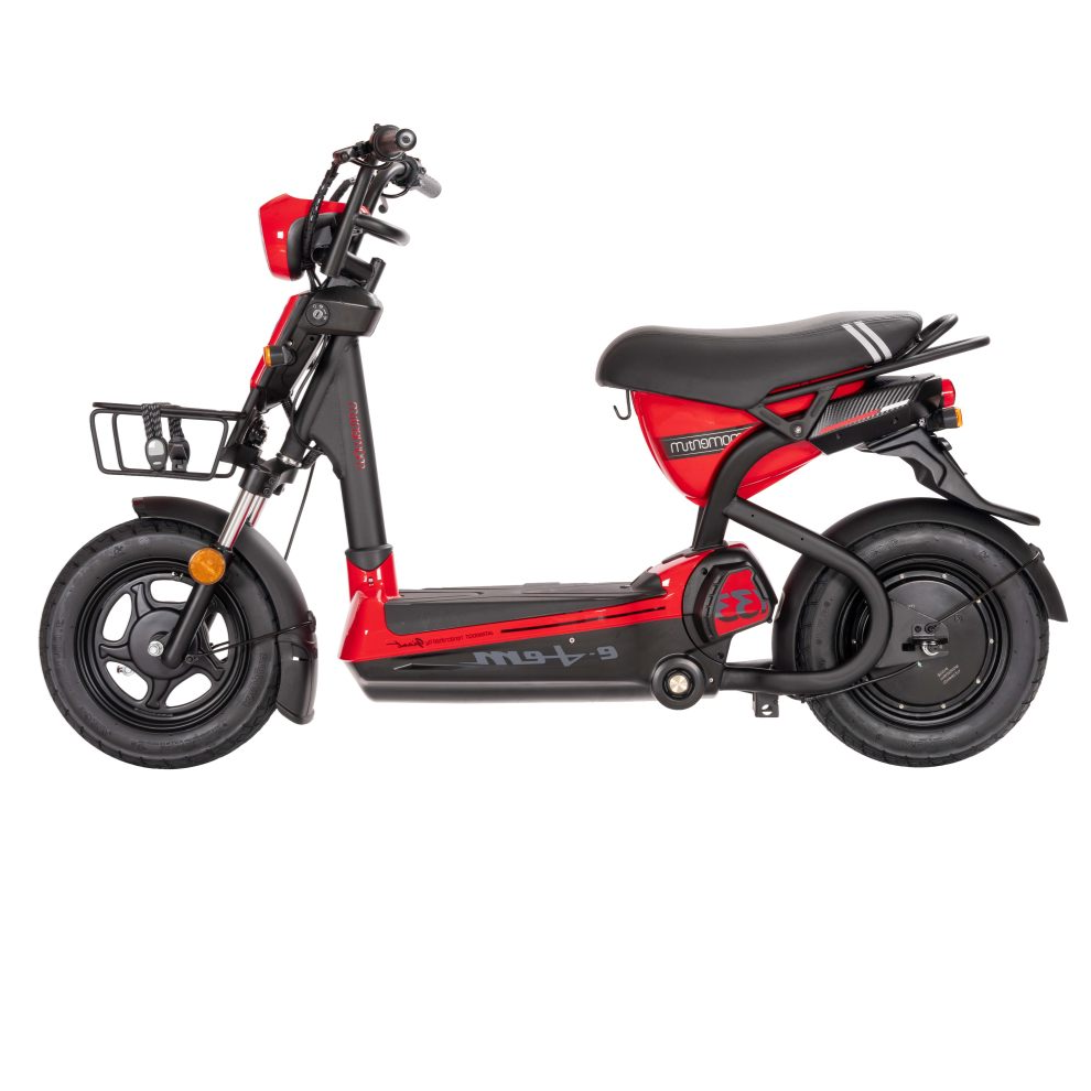 Xe Điện Giant Elem 133M Plus Dành Cho Ai? | Xe Minh Nhật