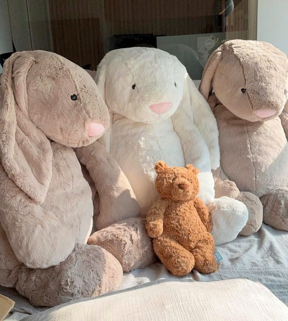 Jellycat Là Gì Mà Được Giới Trẻ Yêu Thích