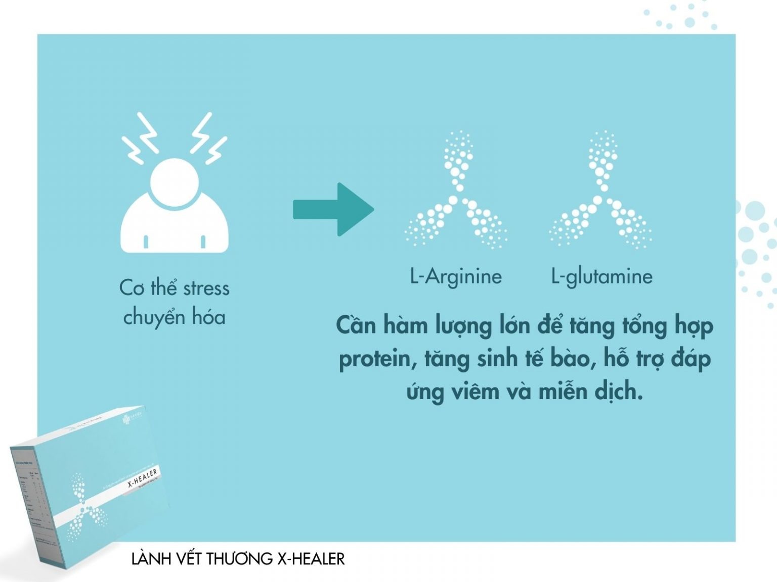 Phẫu thuật đường tiêu hóa