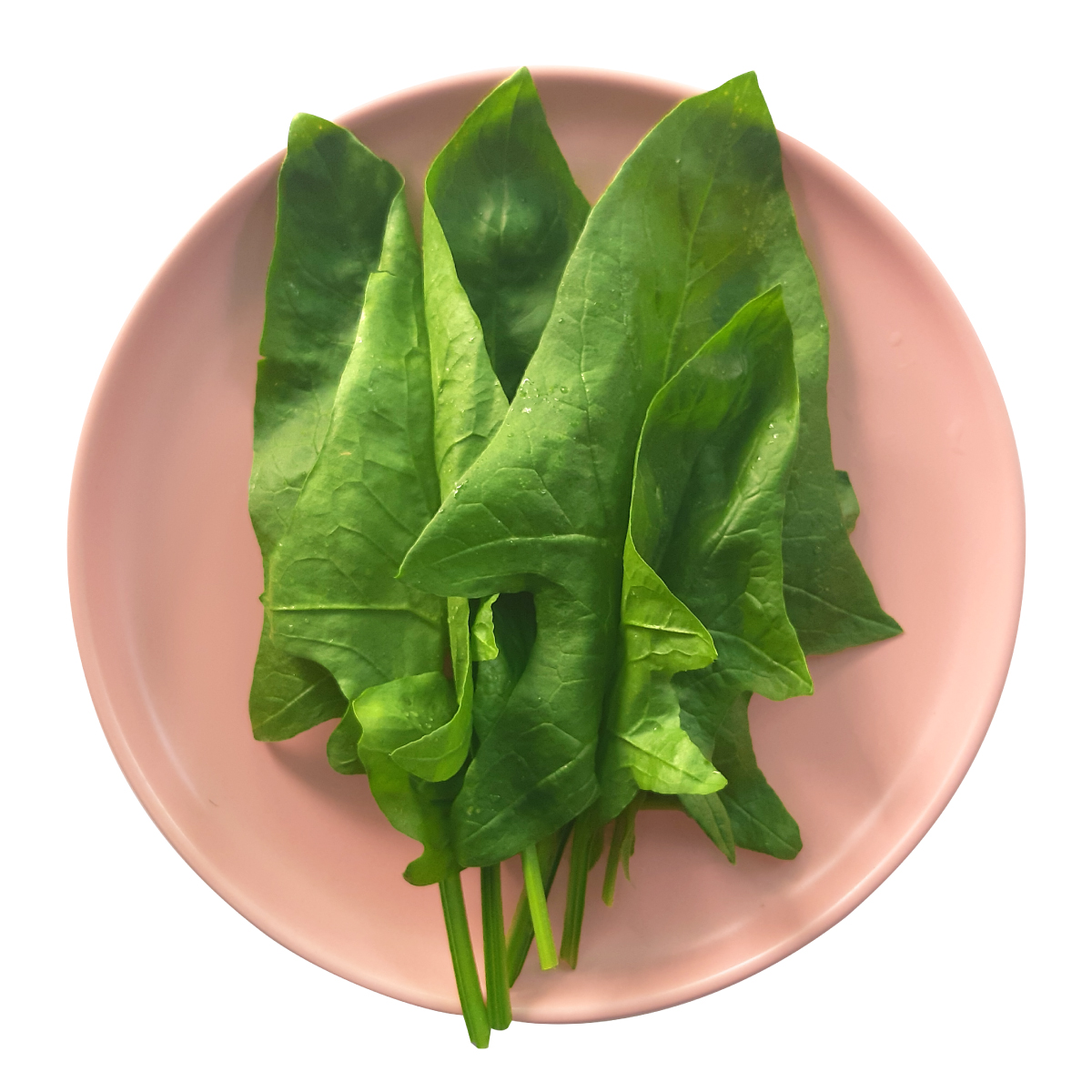 Bó Xôi - Pinkspoon