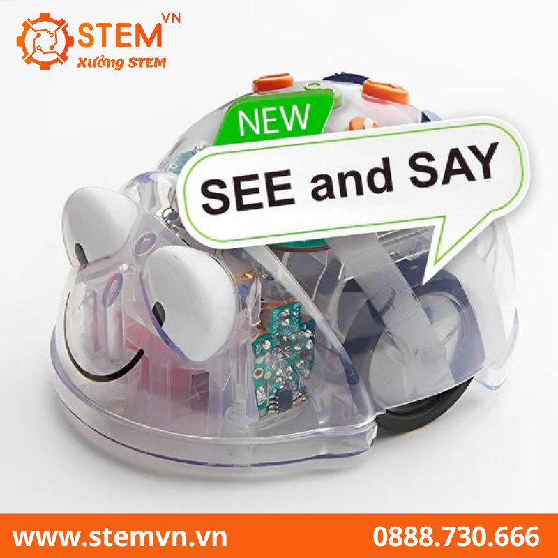Blue-Bot Robot giáo dục STEM cho lứa tuổi mầm non