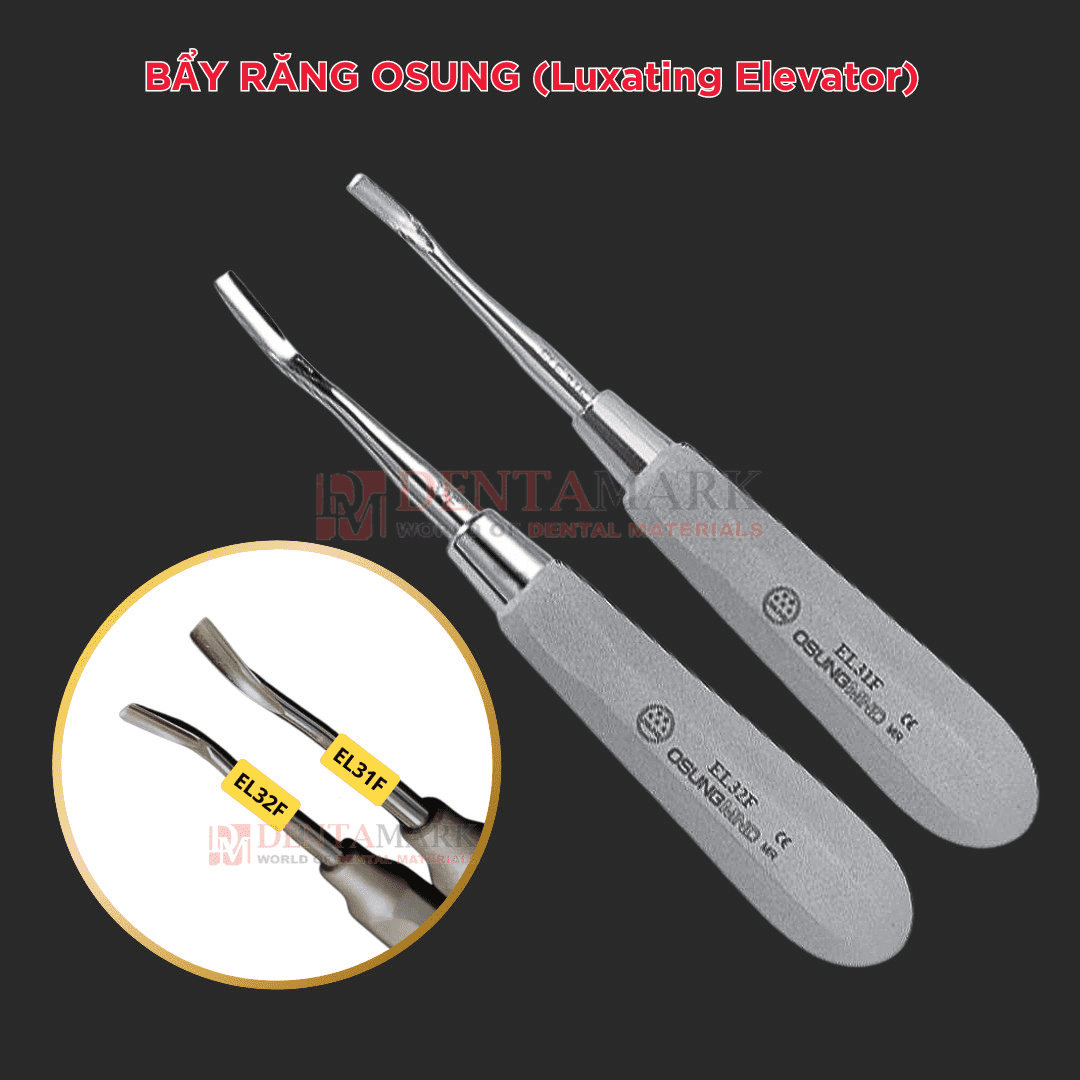 Bẩy răng - Root Elevator Osung (Cái)