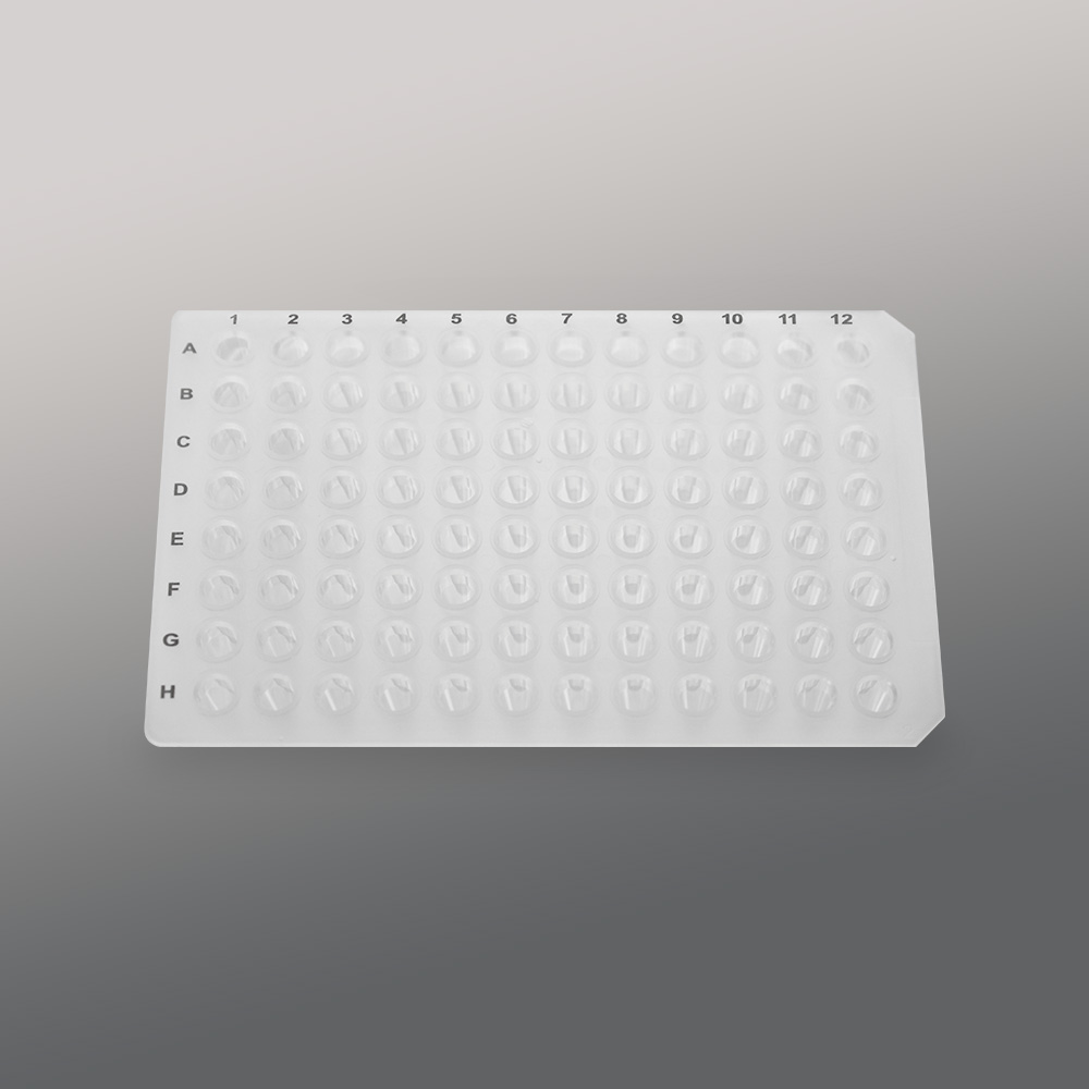PCR Microplate 100ul 96 giếng (100ul 96-well PCR Microplate), Model: PC ...
