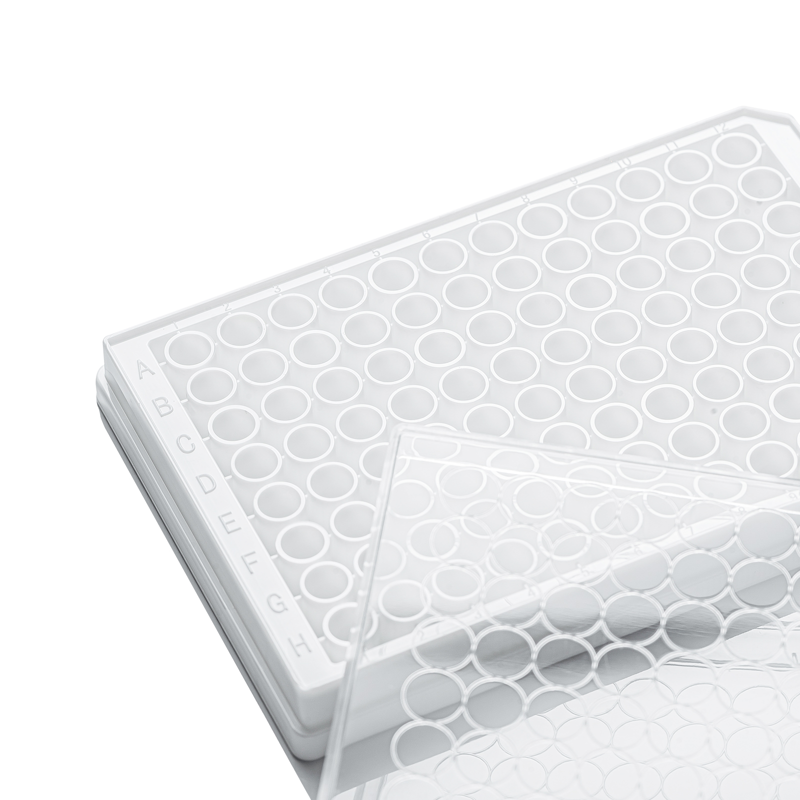 96-well cell culture plate, frame, transparent flat bottom (not treated ...