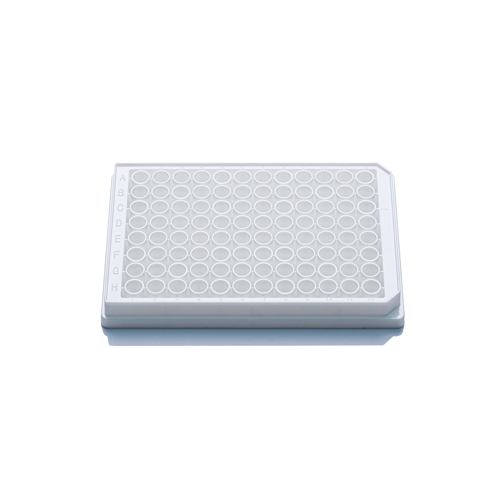 Cell culture plate (Đĩa nuôi cấy tế bào)