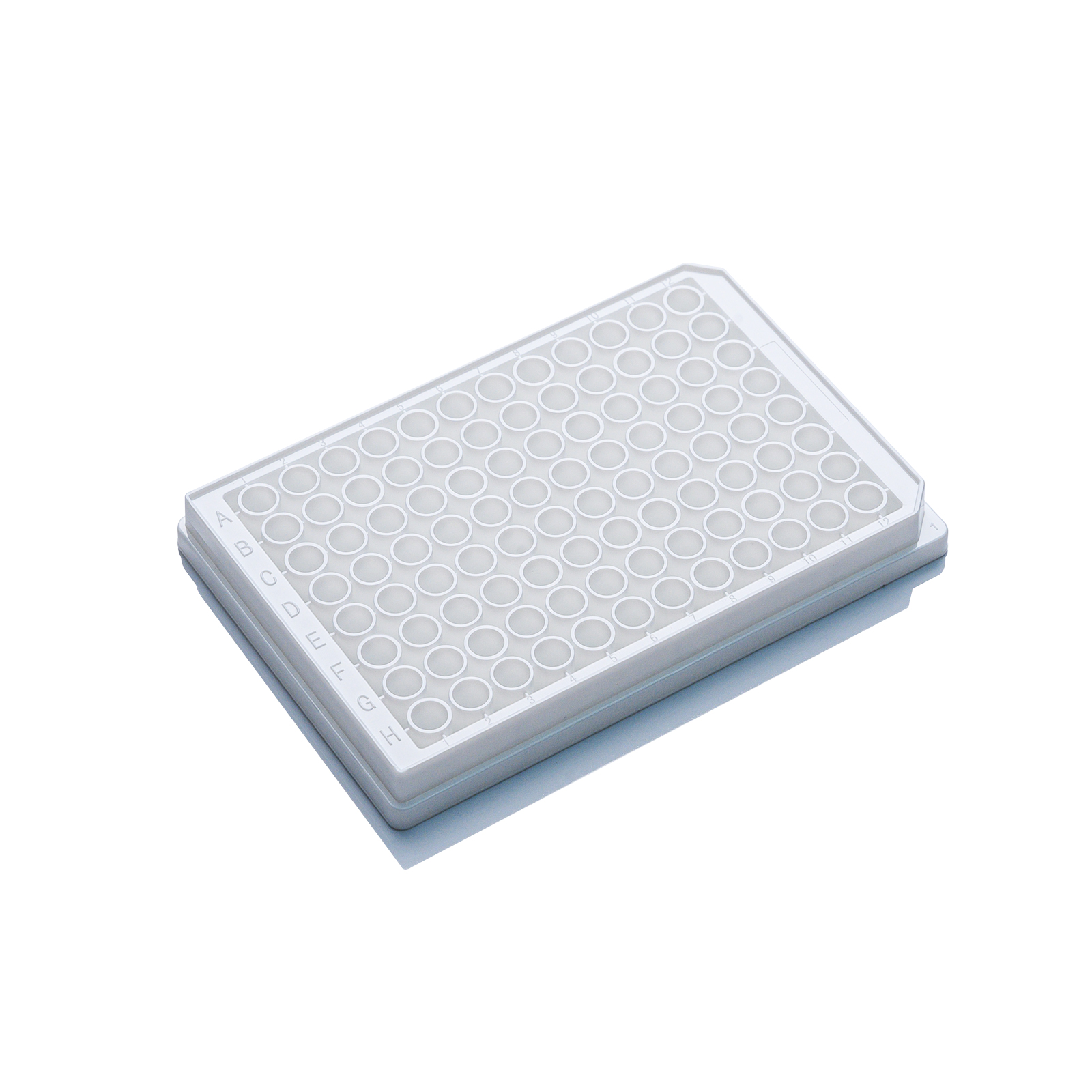 96-well cell culture plate, frame, transparent flat bottom (not treated ...