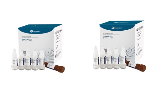 SYBR Green Master Mix