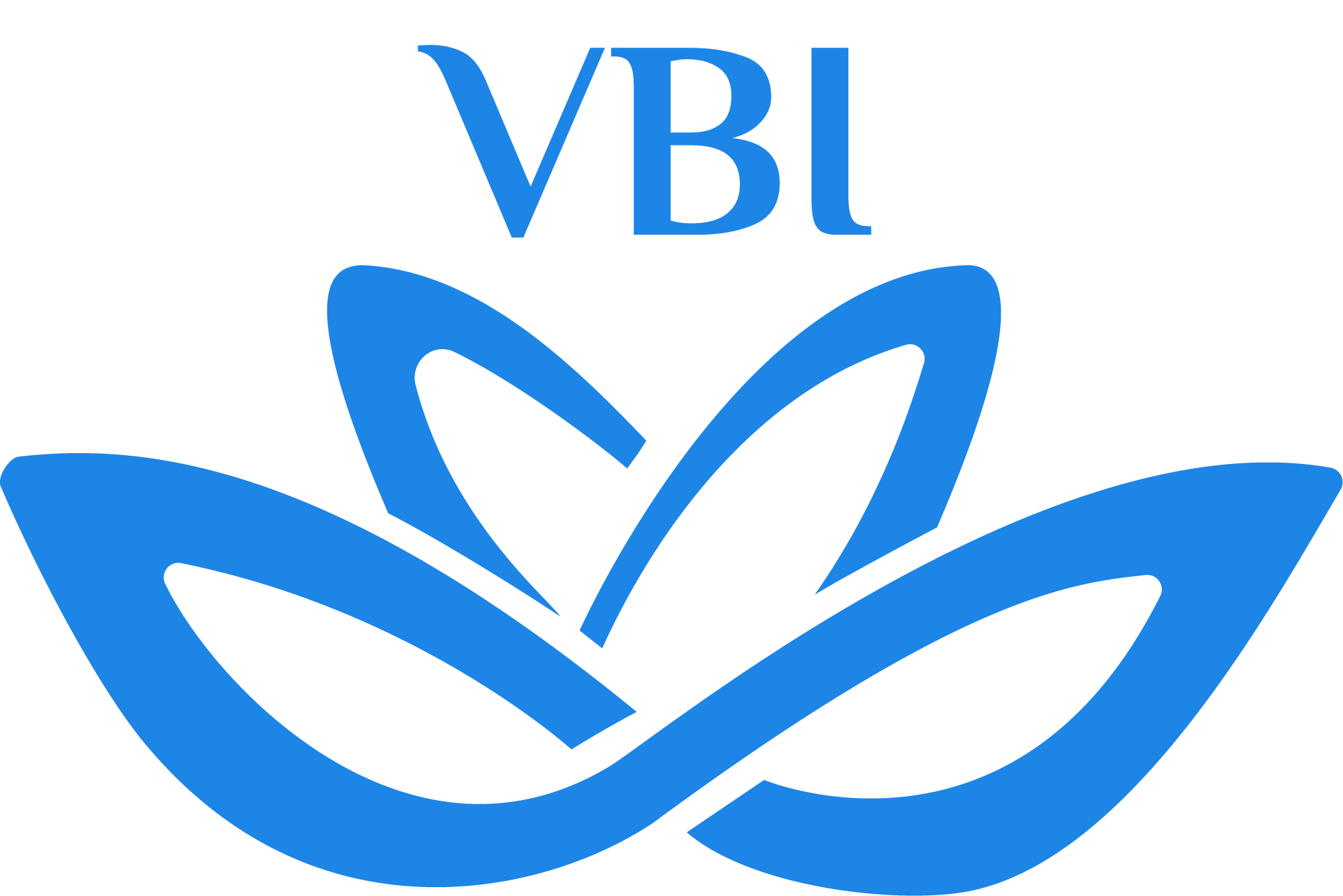 NHA KHOA VIỆT BỈ